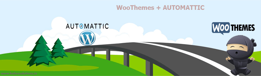 Woothemes to join Wordpress parent company, Automattic - Helios Blog Woothemes to join Wordpress parent company, Automattic - Helios Blog