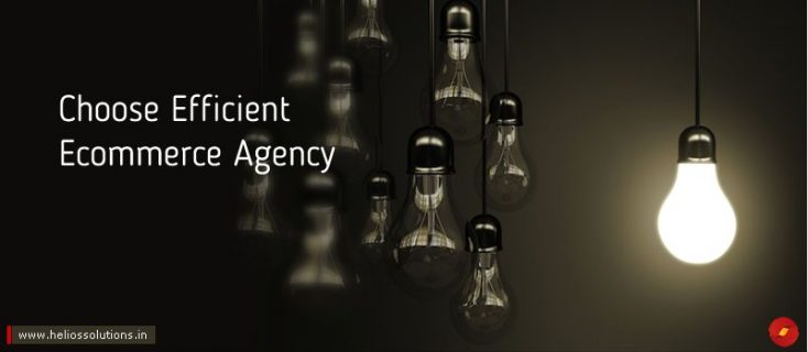 Key Criteria for Choosing an Efficient E-commerce Development Agency