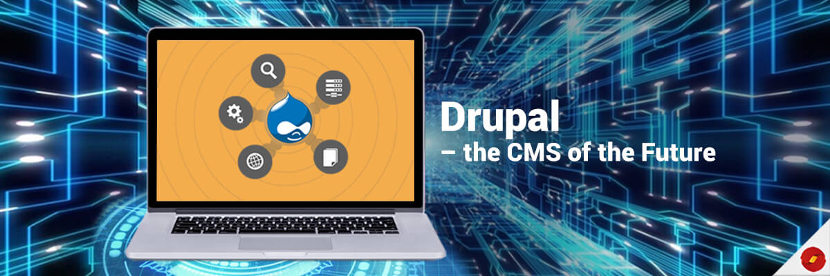 Why Enterprises Choose Drupal for Futuristic Web App Development?